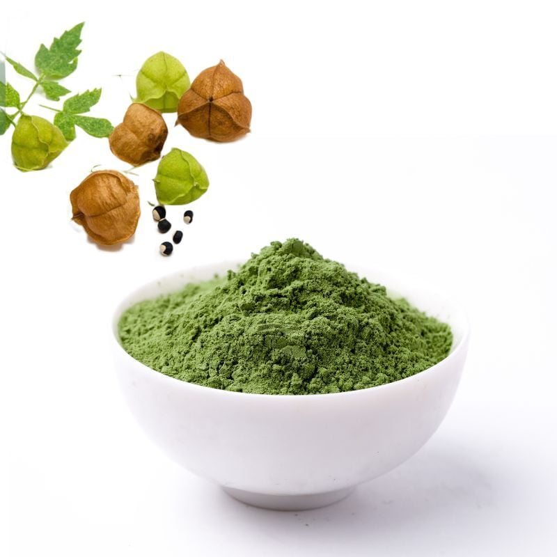 The Incredible Health Benefits of Mudakathan Balloon Vine powder